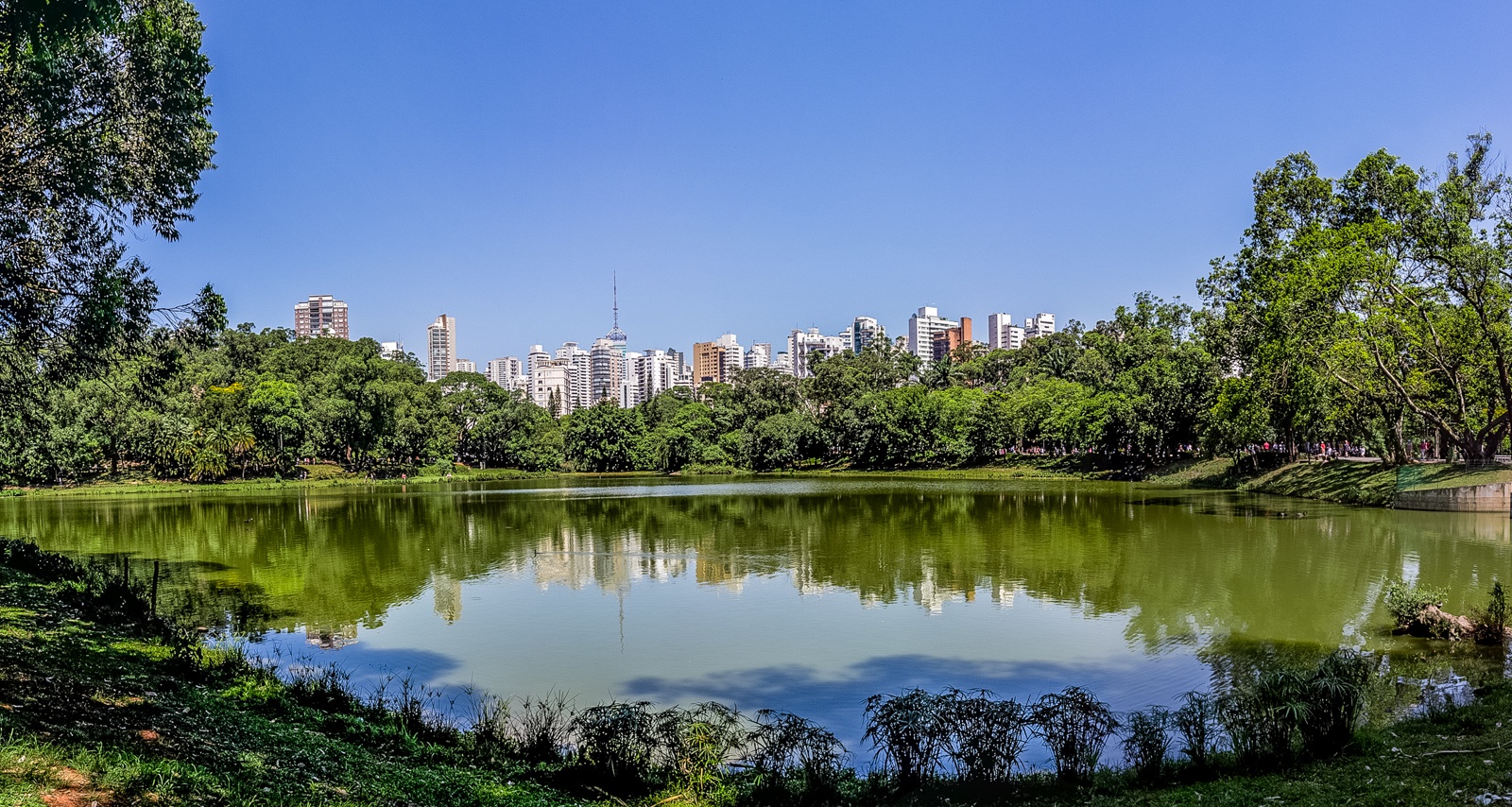 Conheça 10 parques de SP que se chega trem ou metrô - Blog de viagens ...