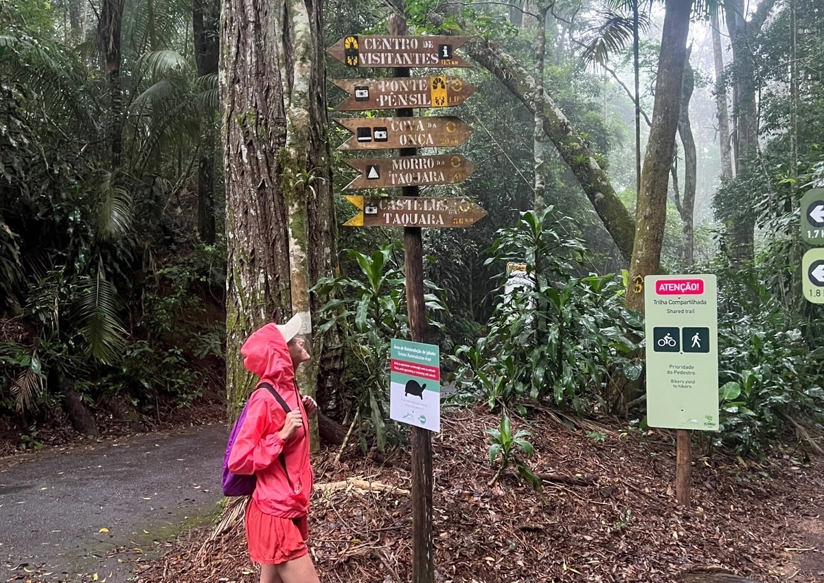 Conheça alguns atrativos da Floresta da Tijuca - Blog de viagens para ...