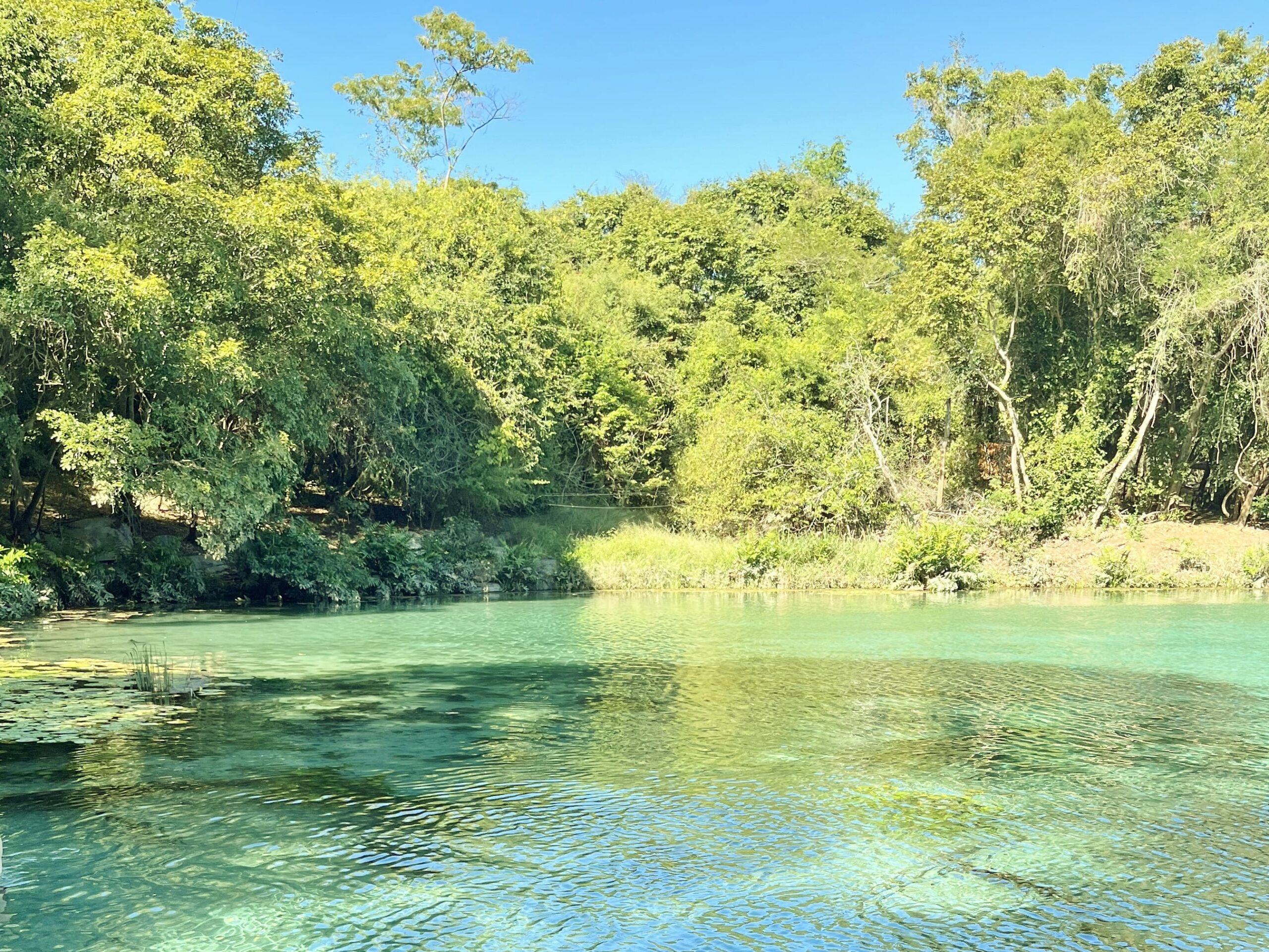 Fazenda Pratinha: lugar para relaxar em meio a Chapada Diamantina ...